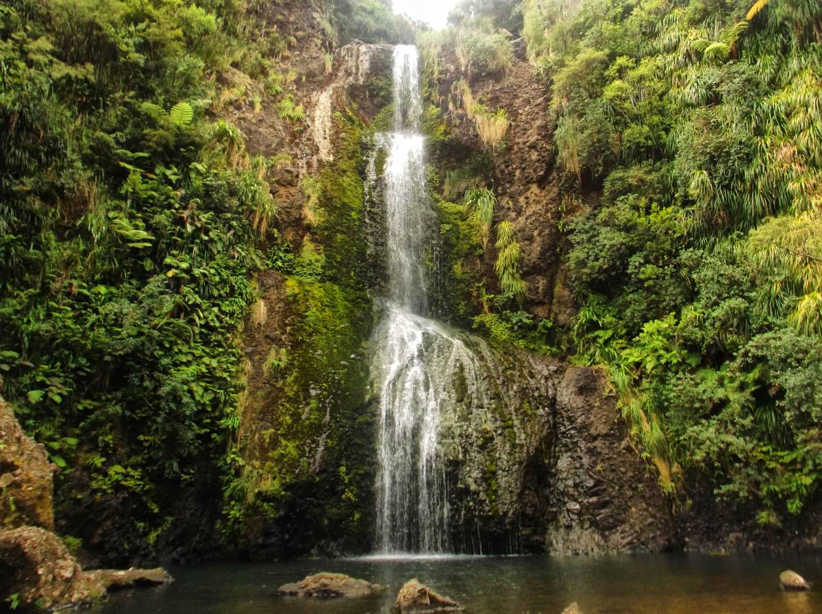 20 Most Wonderful Waterfalls in New Zealand 😍 - NZ Pocket Guide