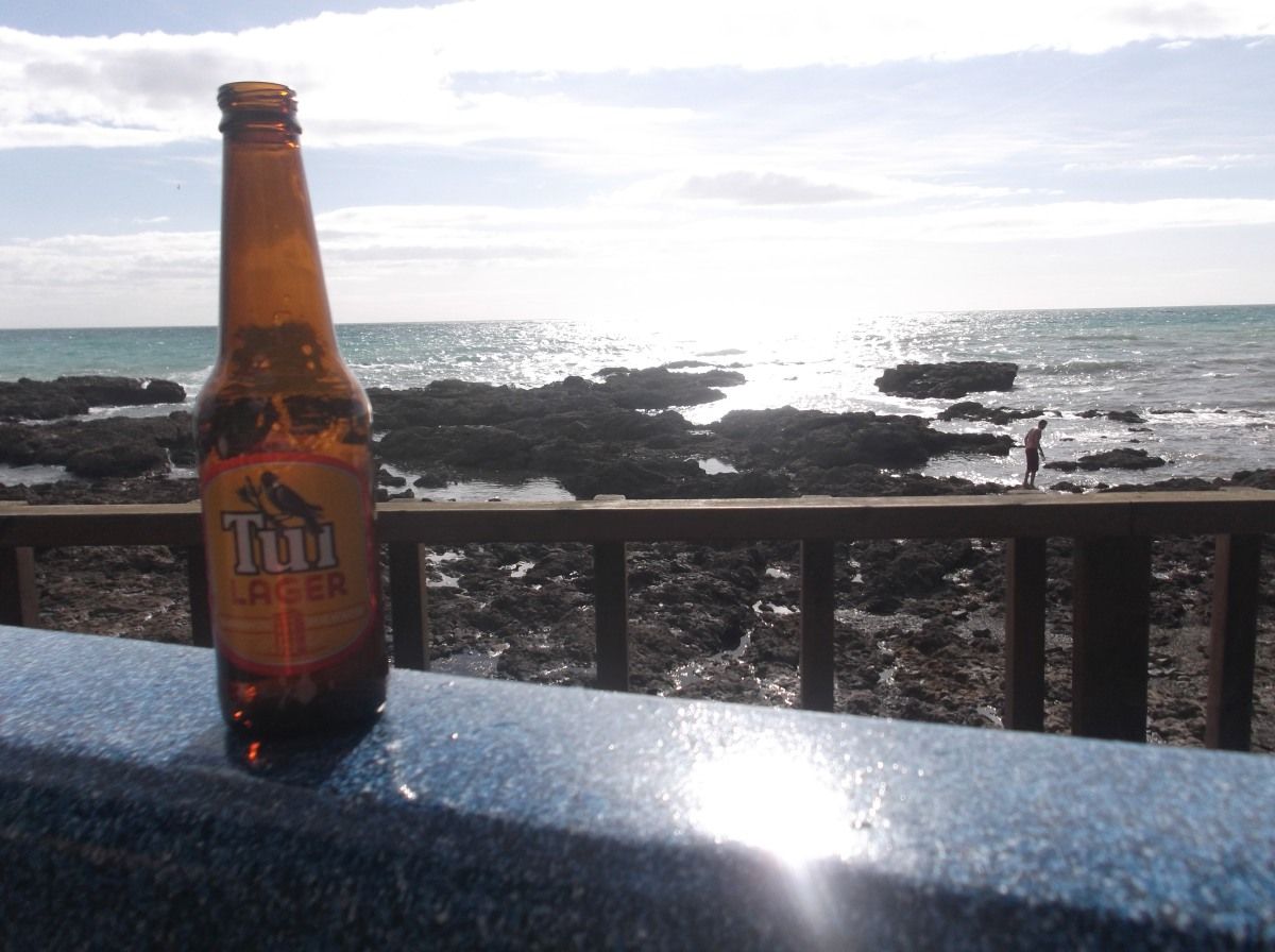 23 Best New Zealand Beers - NZ Pocket Guide