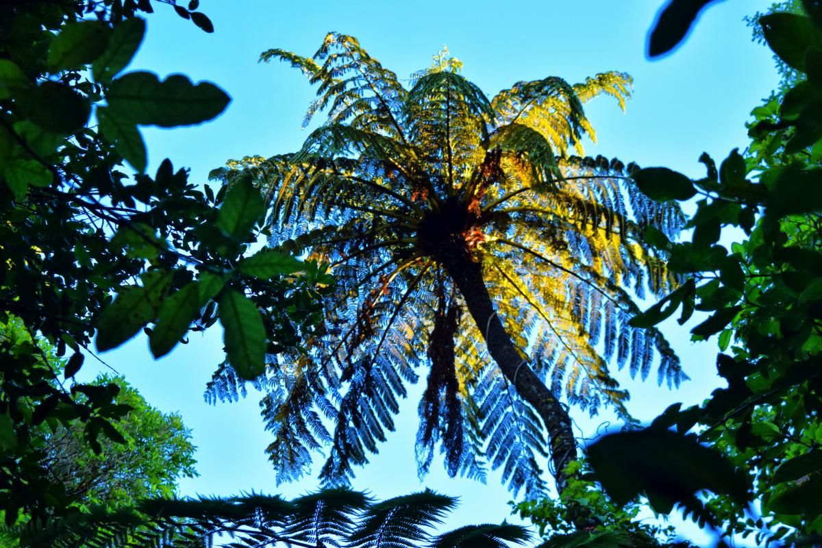 7 Free Natural Hot Springs in New Zealand - NZ Pocket Guide