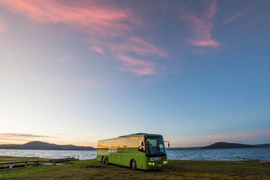 5 Different Bus Networks in New Zealand (Inc. Bus Companies) - NZ ...