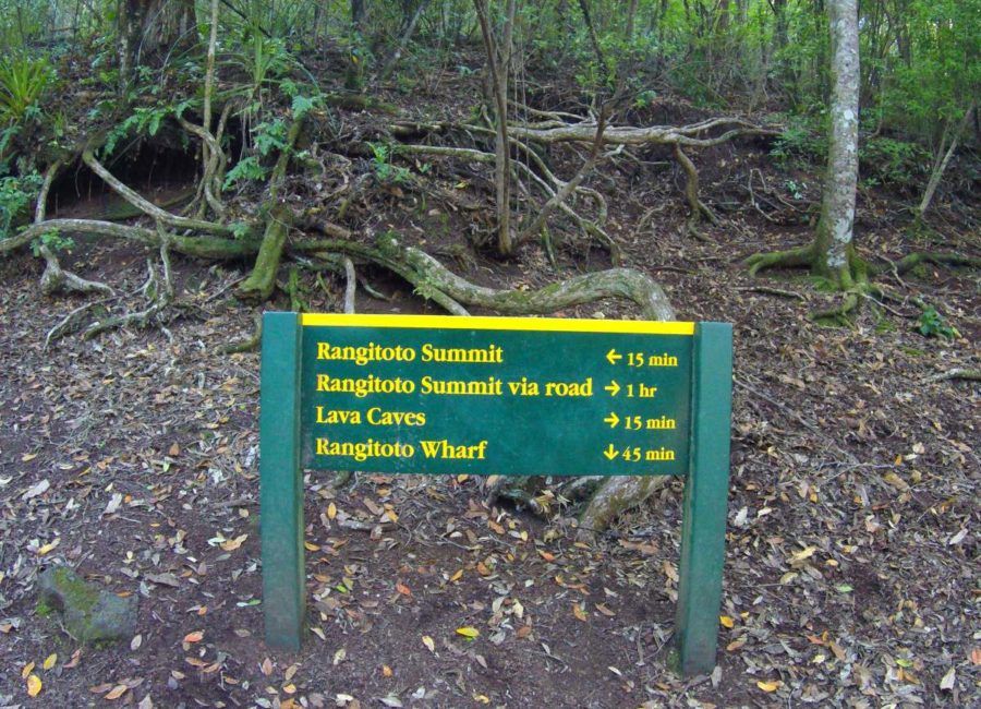 The Guide to Rangitoto Island and Motutapu Island - NZ Pocket Guide