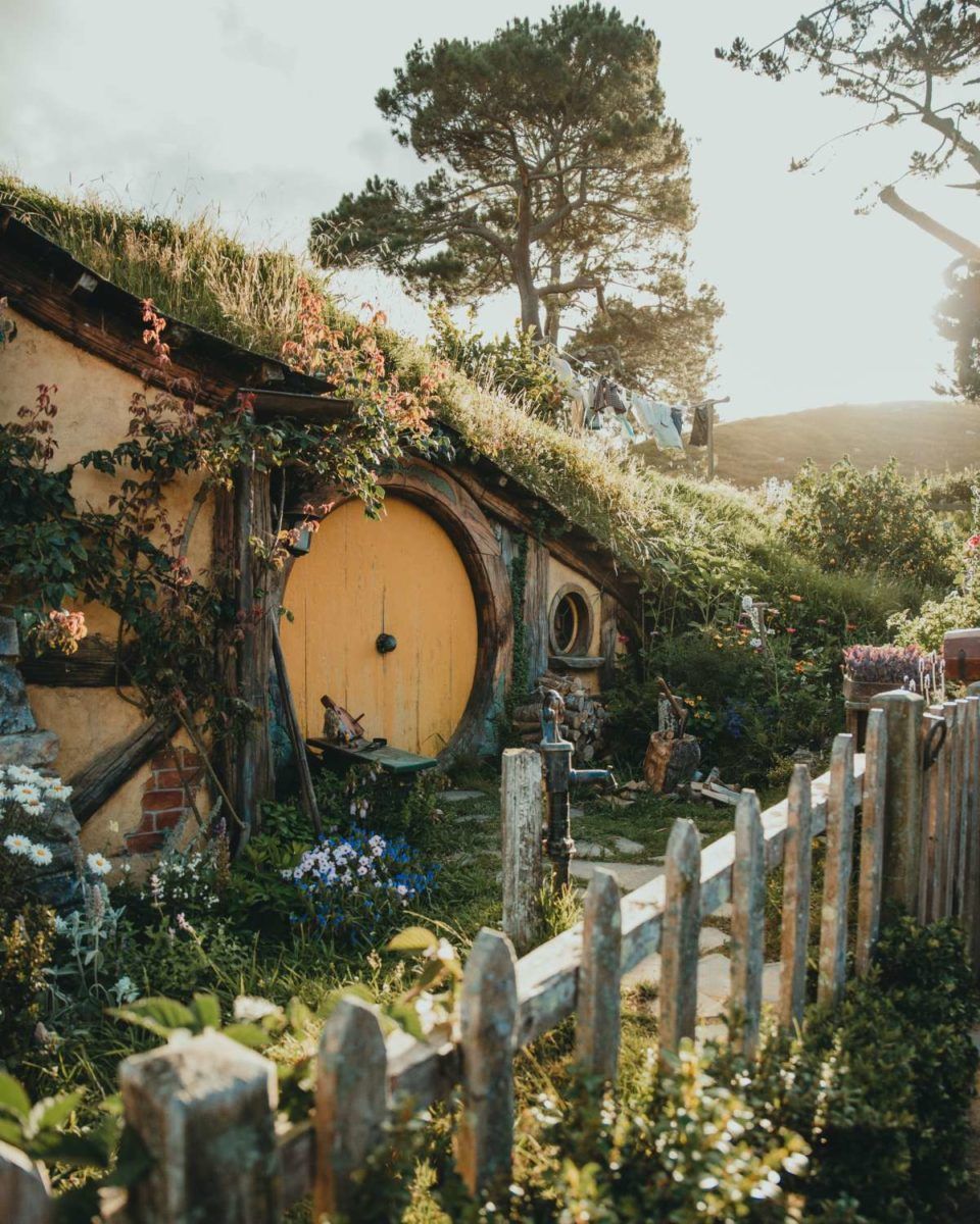 10 Super Unique Things in New Zealand - NZ Pocket Guide