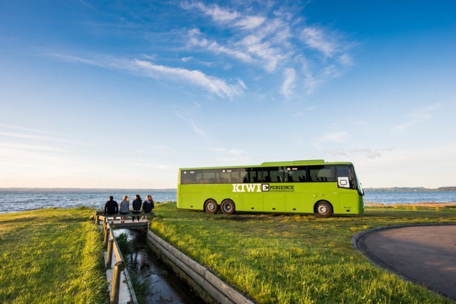 How to Travel by Bus in New Zealand 🚌 [2025] Guide