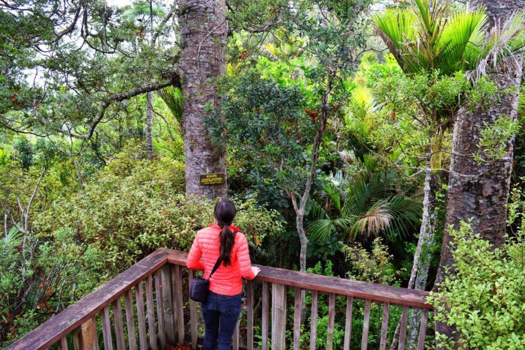 New Caledonia - Guide for Backpackers - NZ Pocket Guide