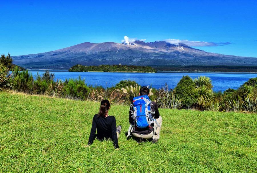 12 Best Things to Do in Turangi: The Turangi Must-Dos!
