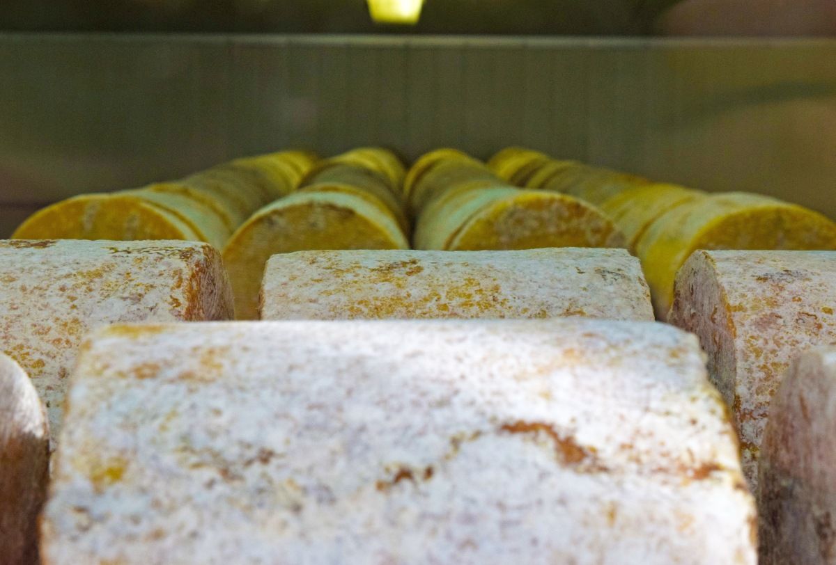 10 Free & Cheap Things to Do in Akaroa - NZ Pocket Guide