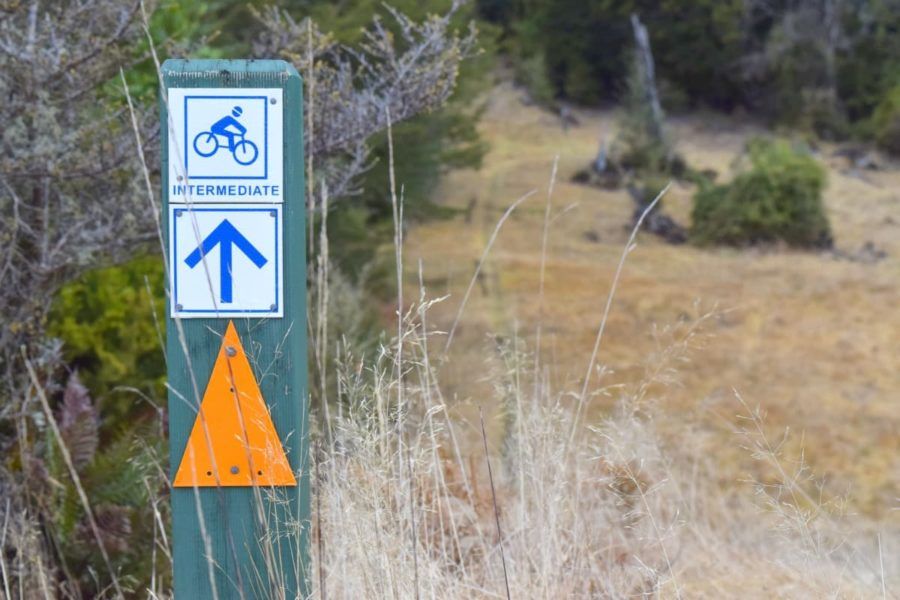 10 BEST Bike Trails in Rotorua 🚴 [2025] - NZ Pocket Guide