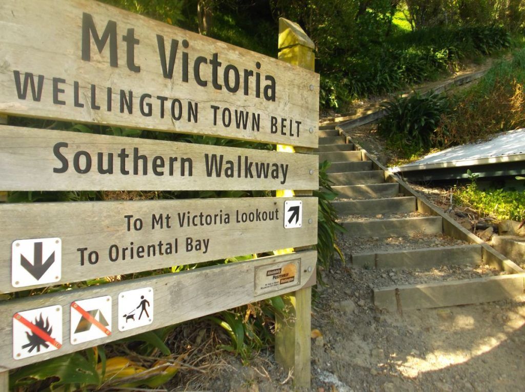 10 Best Walks in Wellington - NZ Pocket Guide