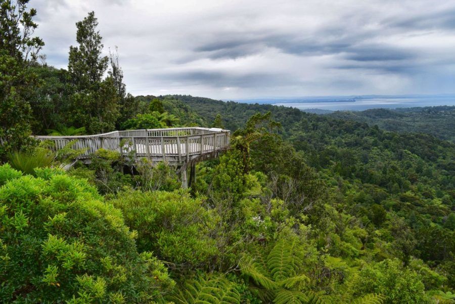 20 Auckland Parks You Can't Miss - NZ Pocket Guide