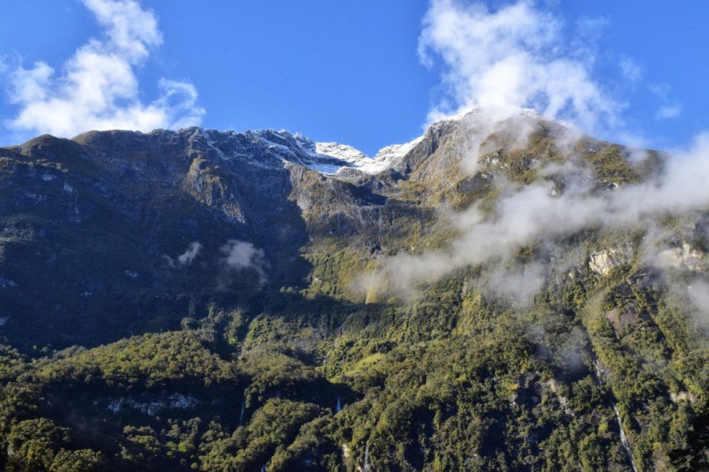 5 Best Places to Visit in Spring in New Zealand - NZ Pocket Guide