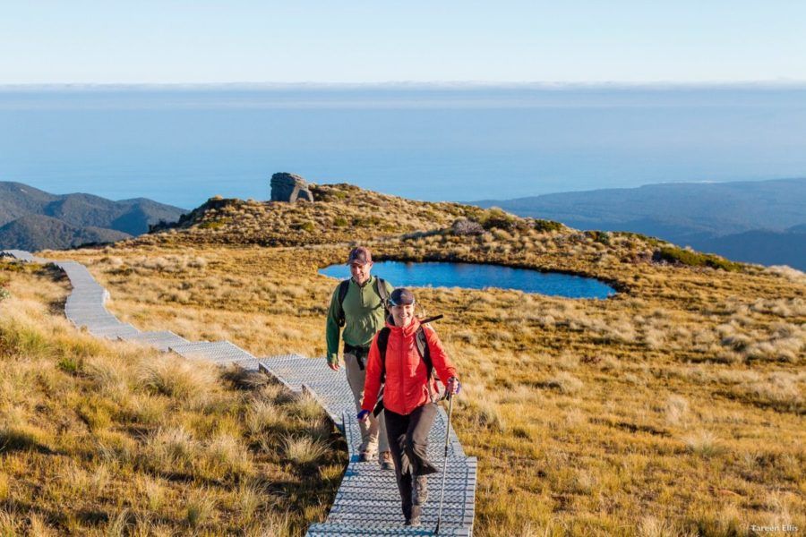 The Complete Guide to the Hump Ridge Track - NZ Pocket Guide