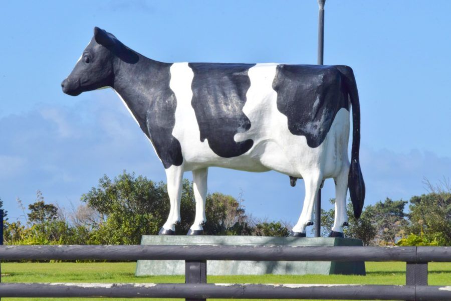 10 Best Things to Do in Hawera - NZ Pocket Guide