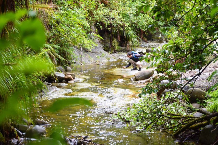 6 Ways to Take On the Waitomo Caves - NZ Pocket Guide