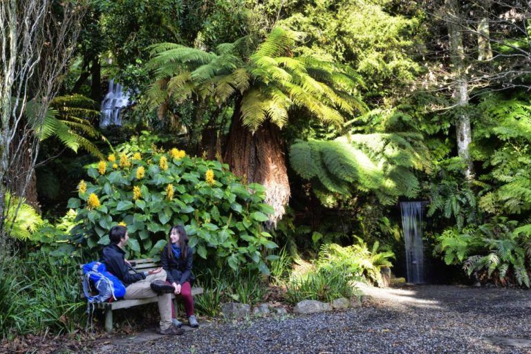 17 Best Things to Do in Taranaki: The Taranaki Must-Dos!