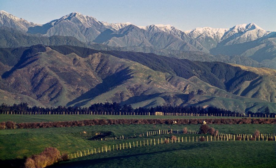 10 Best Things to Do in Levin - NZ Pocket Guide