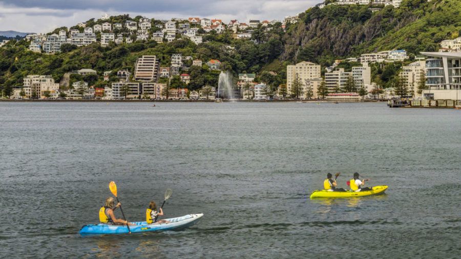 25 Best Things to Do in Wellington: The Wellington Must-Dos!