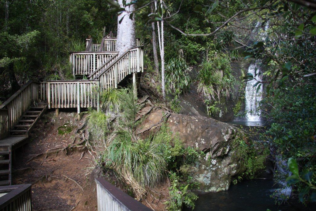 Waitakere Ranges - Guide for Backpackers - NZ Pocket Guide