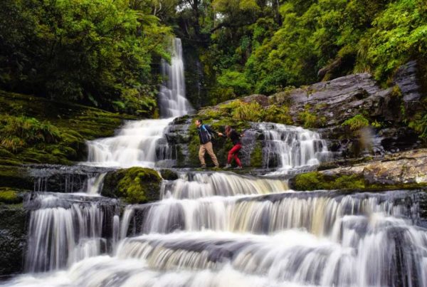 The Complete Guide to Invercargill - NZ Pocket Guide #1 New Zealand ...