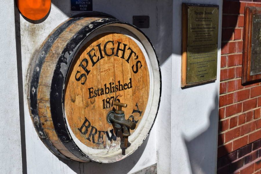 23 Best New Zealand Beers - NZ Pocket Guide