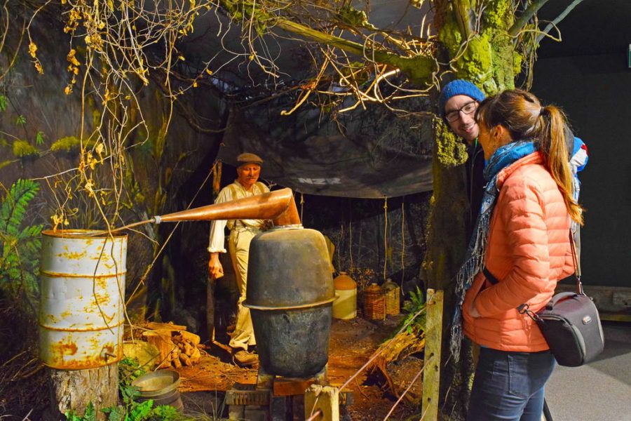 11 Best Things to Do in Gore: The Must-Dos in Gore!