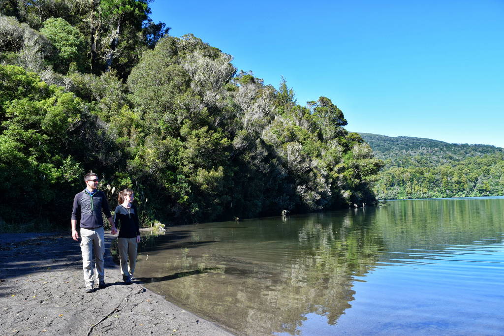 15 Best Walks in Turangi - NZ Pocket Guide