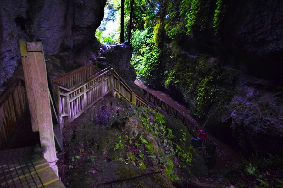 15 Free Things to Do in Waitomo - NZ Pocket Guide