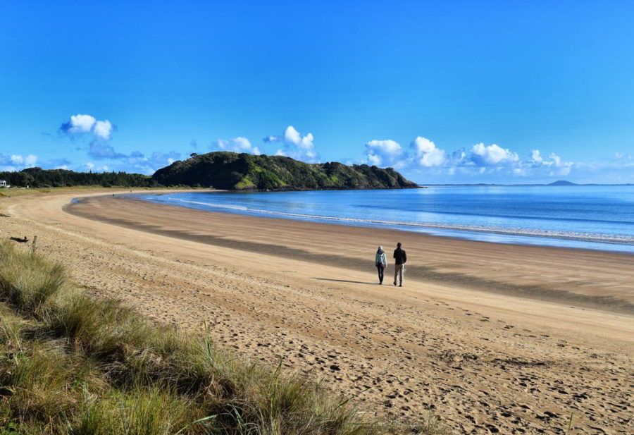 15 Best Things to Do in Mangonui, Doubtless Bay ⛱️ [2025] - NZ Pocket Guide