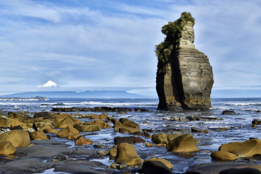 17 Best Things to Do in Taranaki: The Taranaki Must-Dos!
