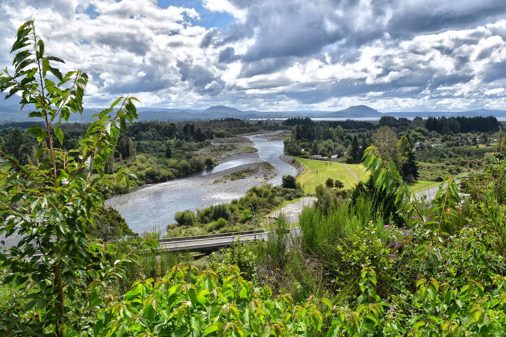 15 Best Walks in Turangi - NZ Pocket Guide