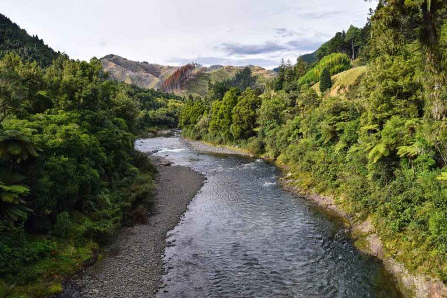 10 Best Things to Do in Opotiki - NZ Pocket Guide