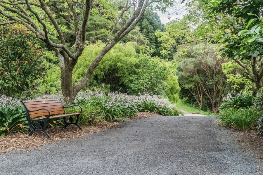 20 Auckland Parks You Can't Miss - NZ Pocket Guide
