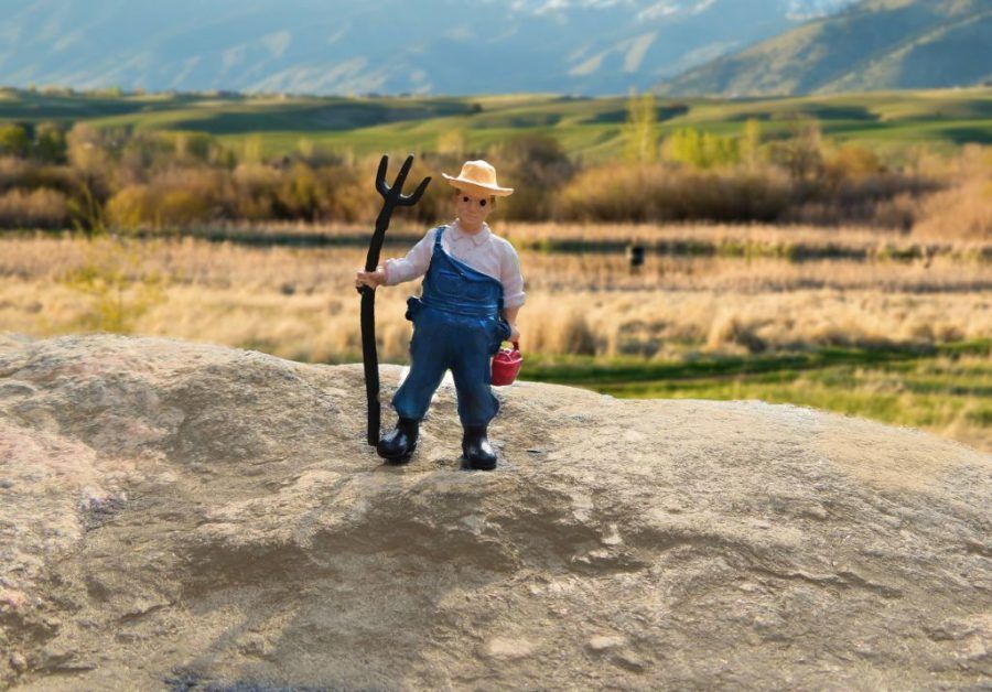 What is Your New Zealand Tax Code? - NZ Pocket Guide