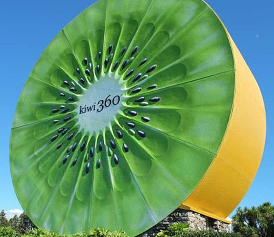 21 BIG Things in New Zealand - NZ Pocket Guide