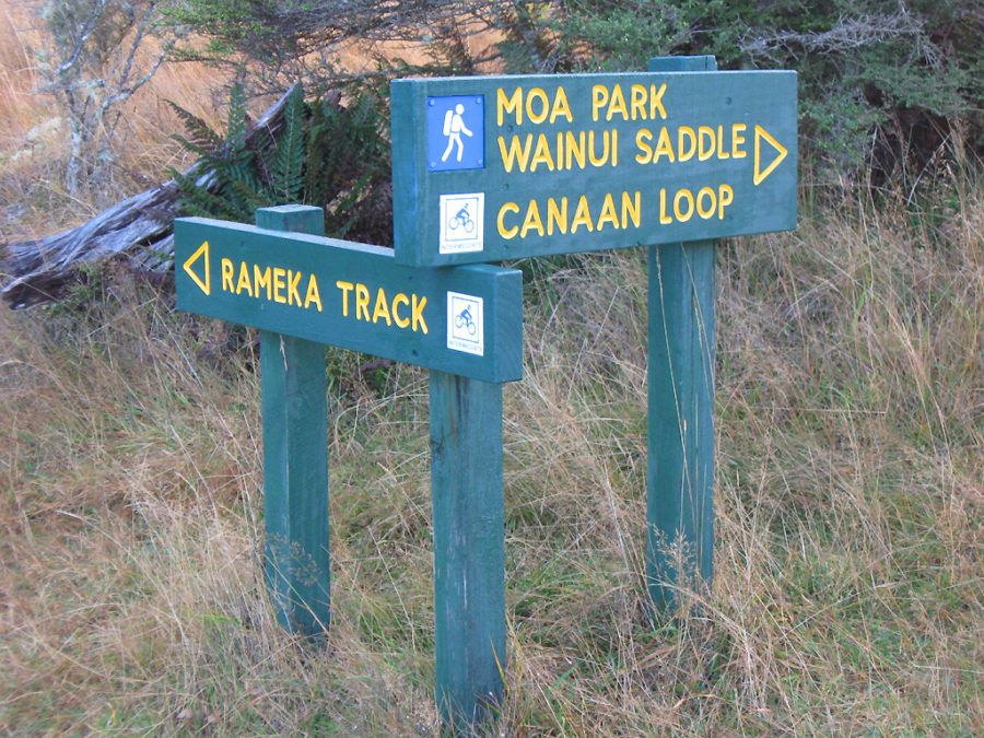 21 Best Things to Do in Golden Bay: The Golden Bay Must-Dos!