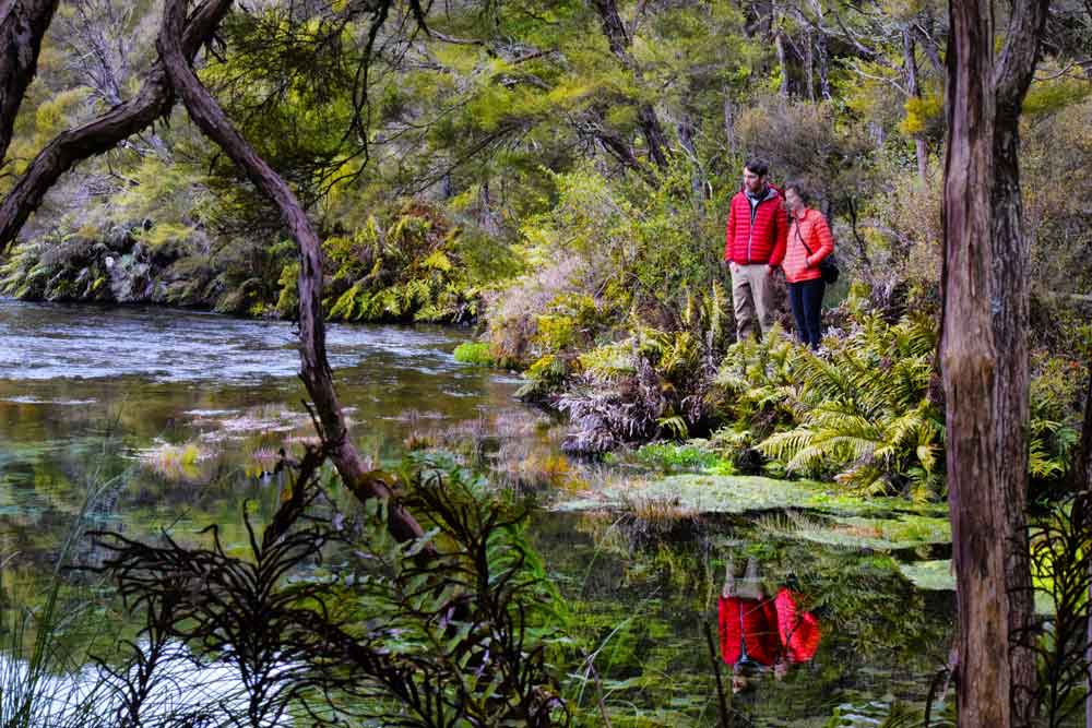 11 Best Things to Do in Takaka - NZ Pocket Guide