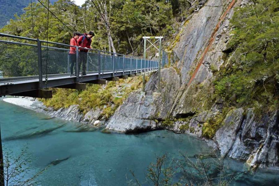 8 Best Things to Do in Haast & Jackson Bay: The Haast Must-Dos!
