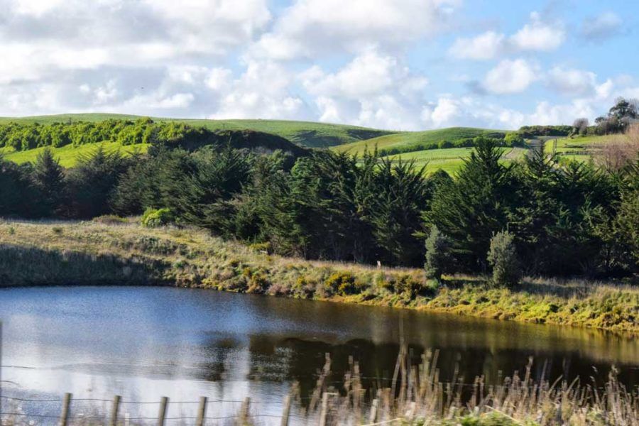 10 Best Things to Do in Hawera - NZ Pocket Guide