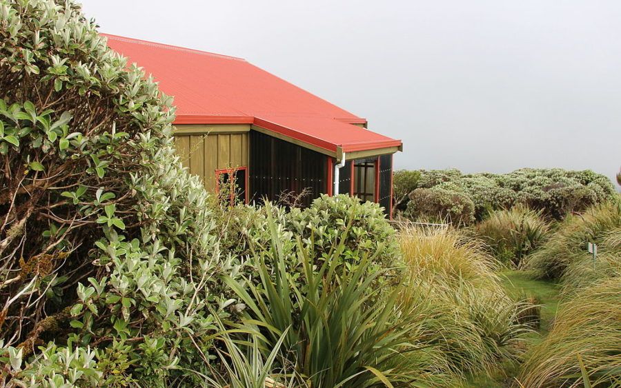 10 Best Things to Do in Levin - NZ Pocket Guide