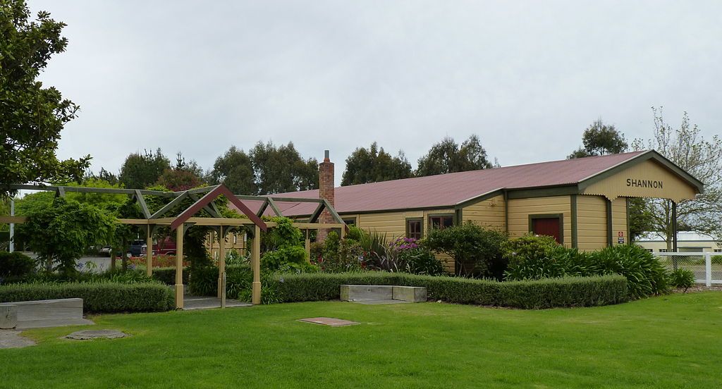 5 Best Things to Do in Shannon: Top Activities & Attractions in Shannon, NZ