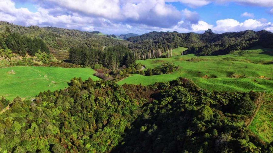 Waitomo Destination Portal - NZ Pocket Guide