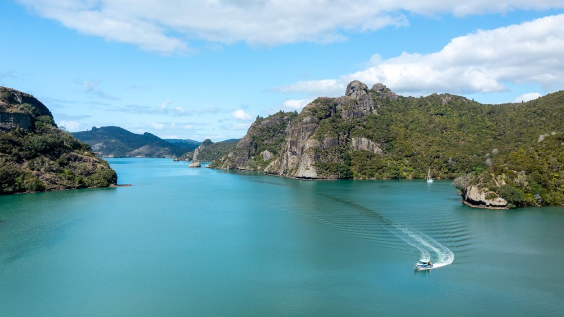 10 Best Things to Do in Whangaroa - NZ Pocket Guide