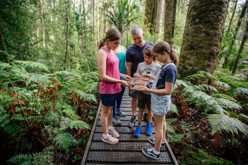 15 Things to Do in Whangarei with Kids [2025] - NZ Pocket Guide