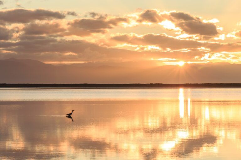 17 Best Things to Do in Nelson: The Nelson Must-Dos!