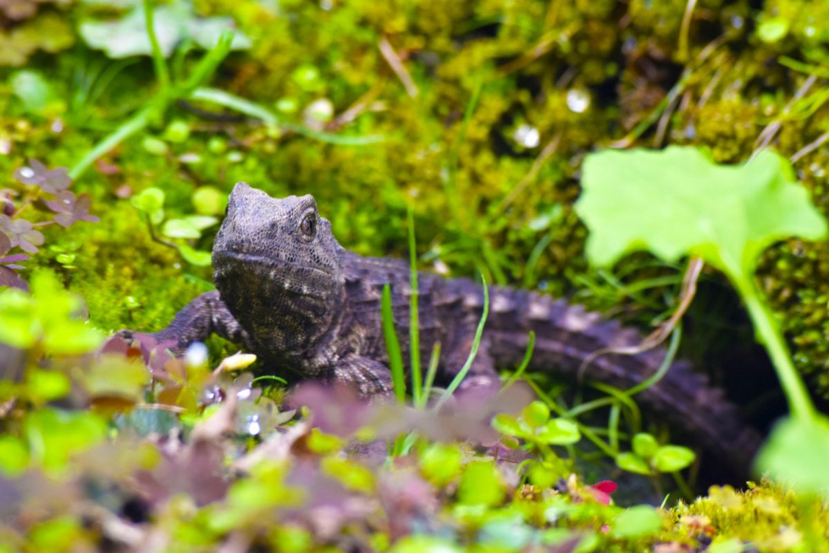 16 Best Things to Do in Hamilton: The Hamilton Must-Dos!