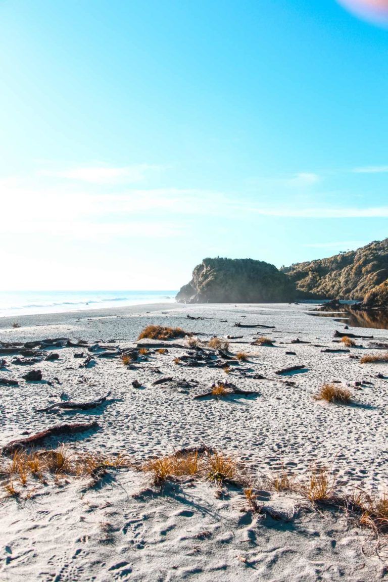 8 Best Things to Do in Haast & Jackson Bay: The Haast Must-Dos!