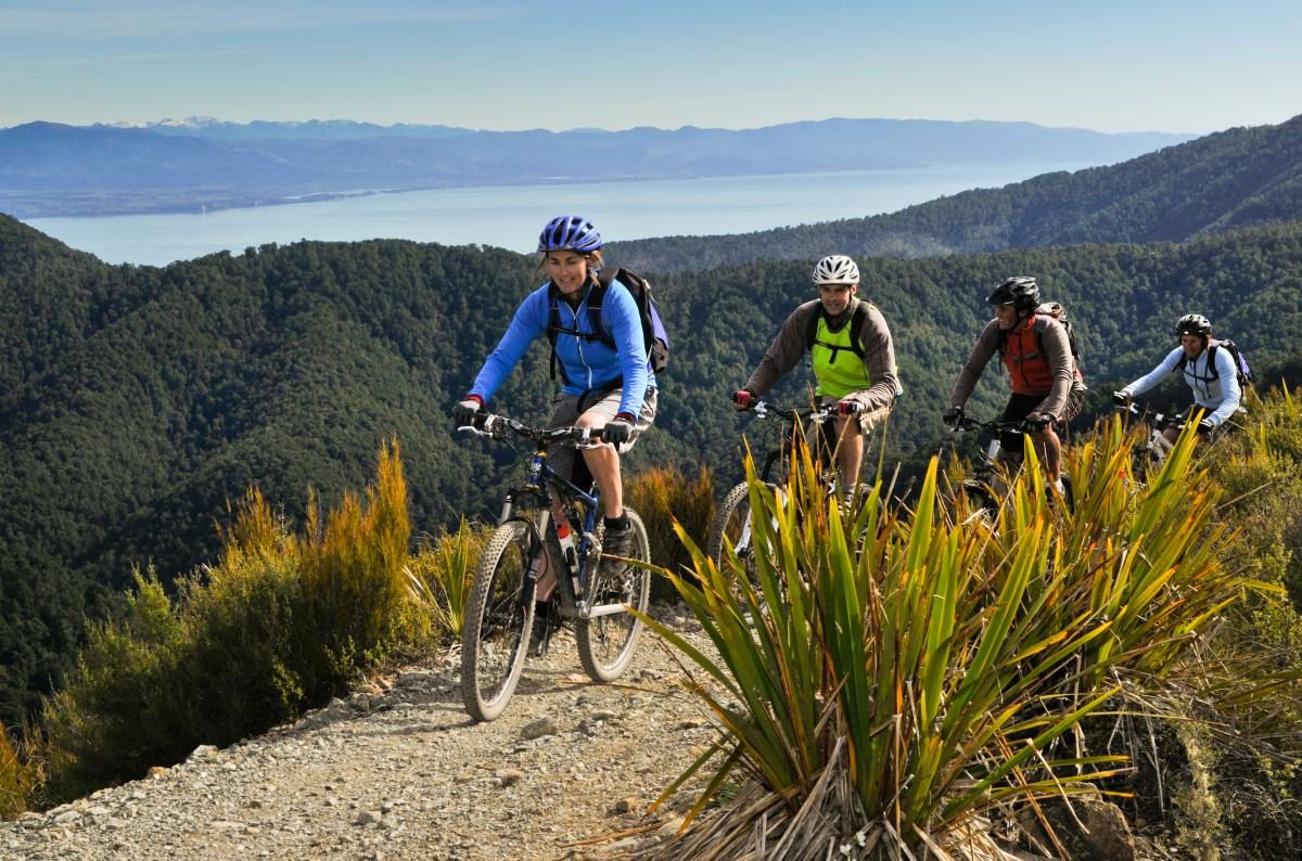 The Complete Travel Guide to Nelson 2026