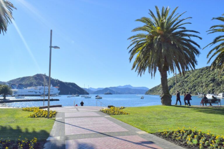 The Complete Travel Guide to Picton ⛴️ 2025