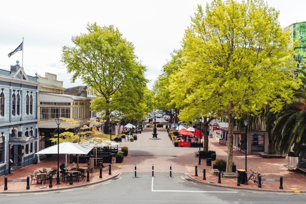 Nelson, New Zealand: The Complete Travel Guide to Nelson [2025]