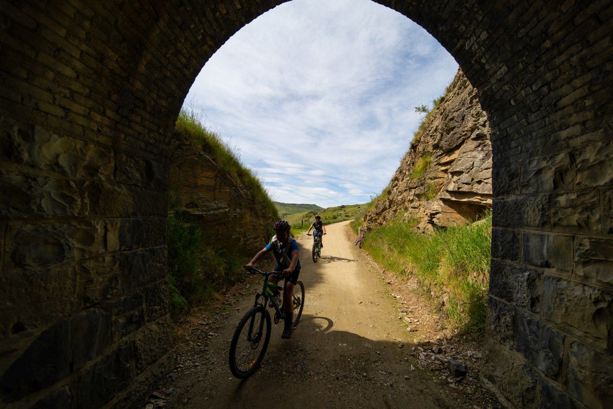 13 Best Things to Do in Dunedin: The Dunedin Must-Dos!