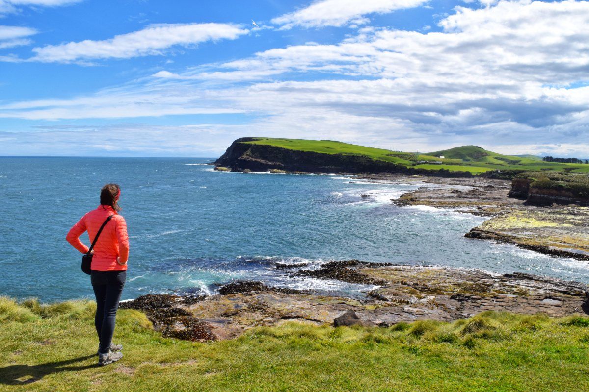 The Complete Travel Guide to The Catlins